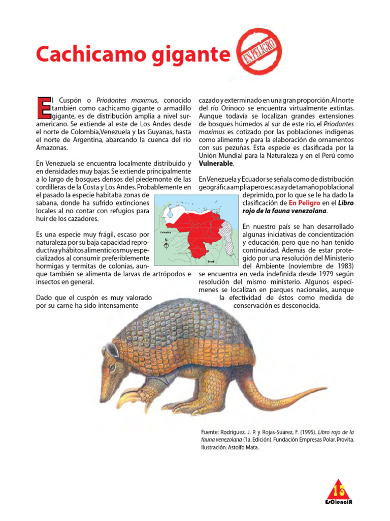 Es Ciencia 13 H Cachicamo Gigante | PDF | Venezuela