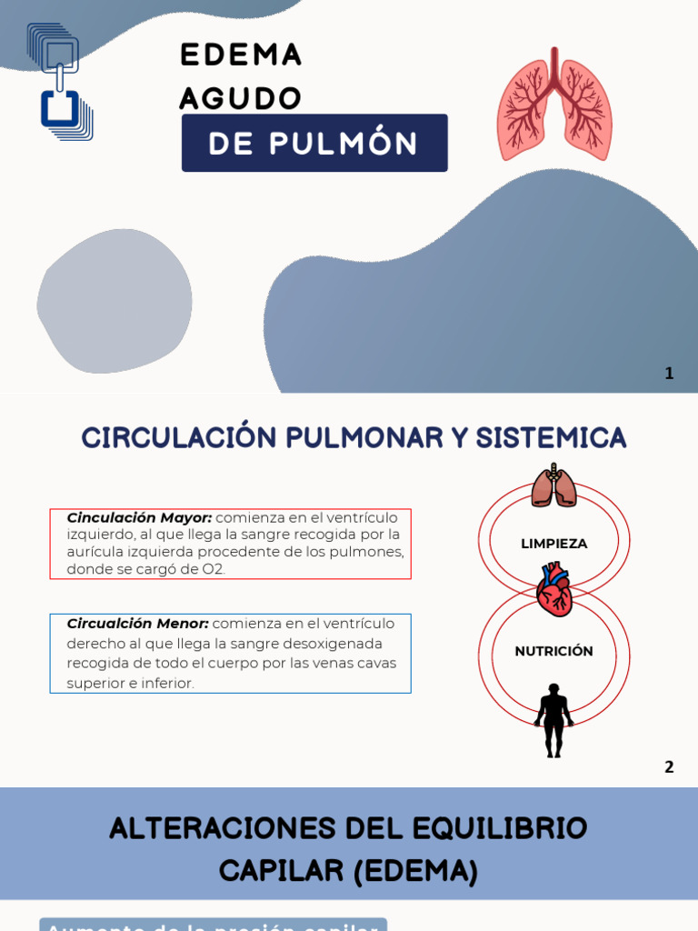 Edema Agudo de Pulmon DR Reyes Oficial | PDF | Edema | Sistema circulatorio