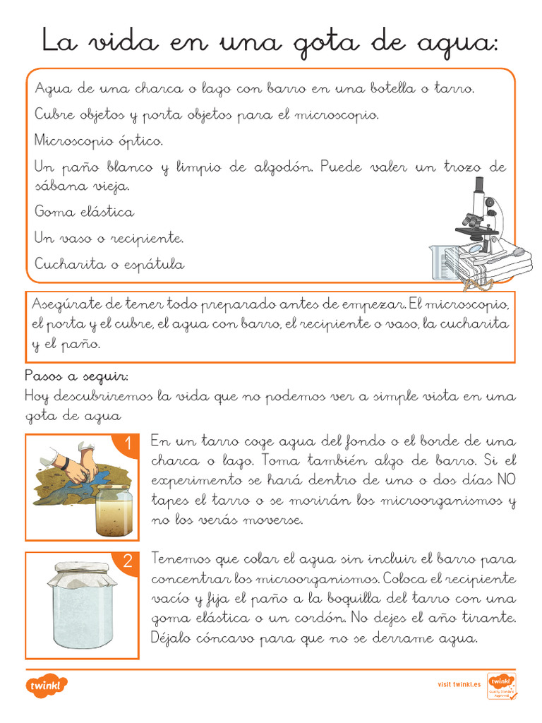 La Vida en Una Gota de Agua | PDF | Arte