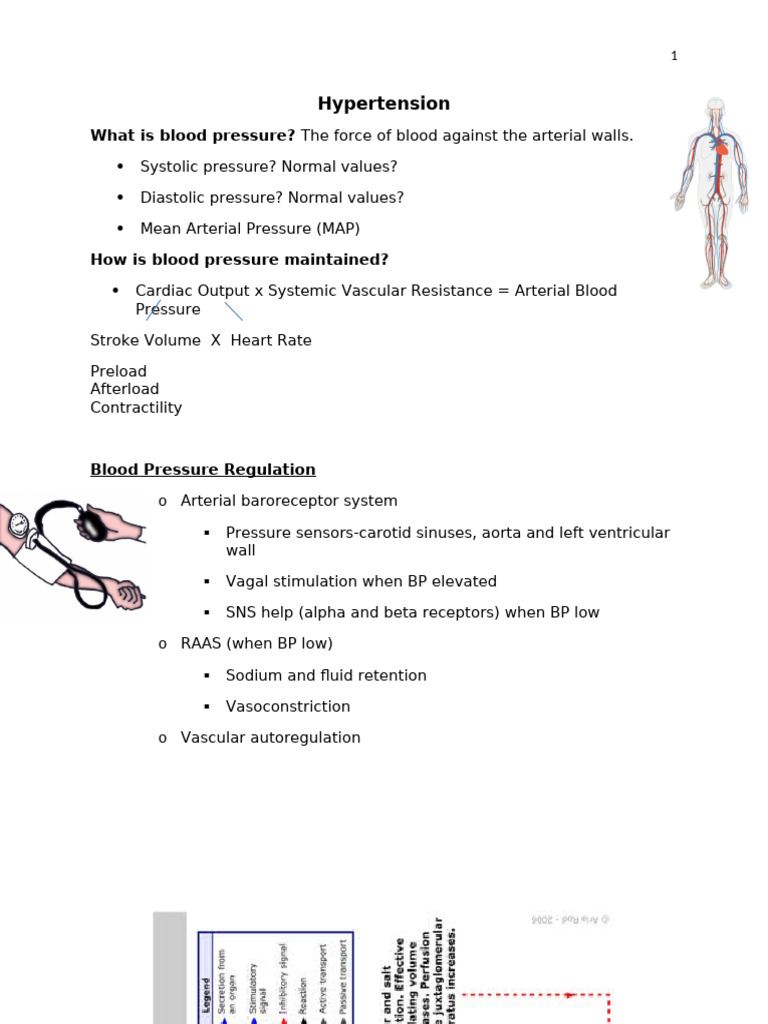 11 Hypertension | PDF | Blood Pressure | Hypertension