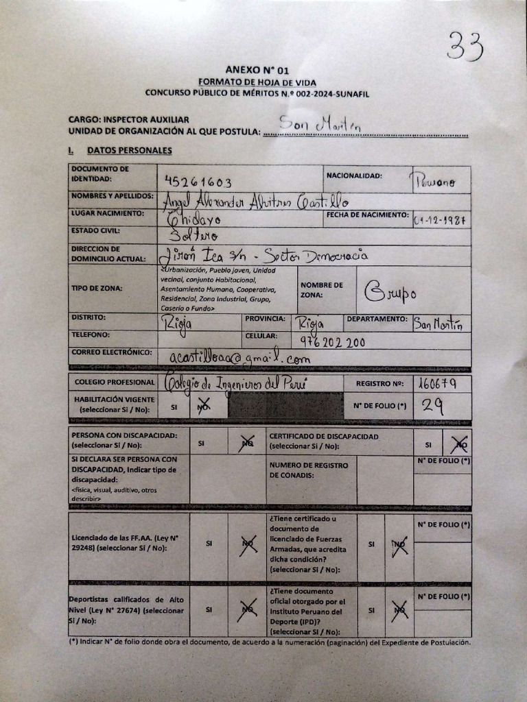 Formato 1 Compressed | PDF