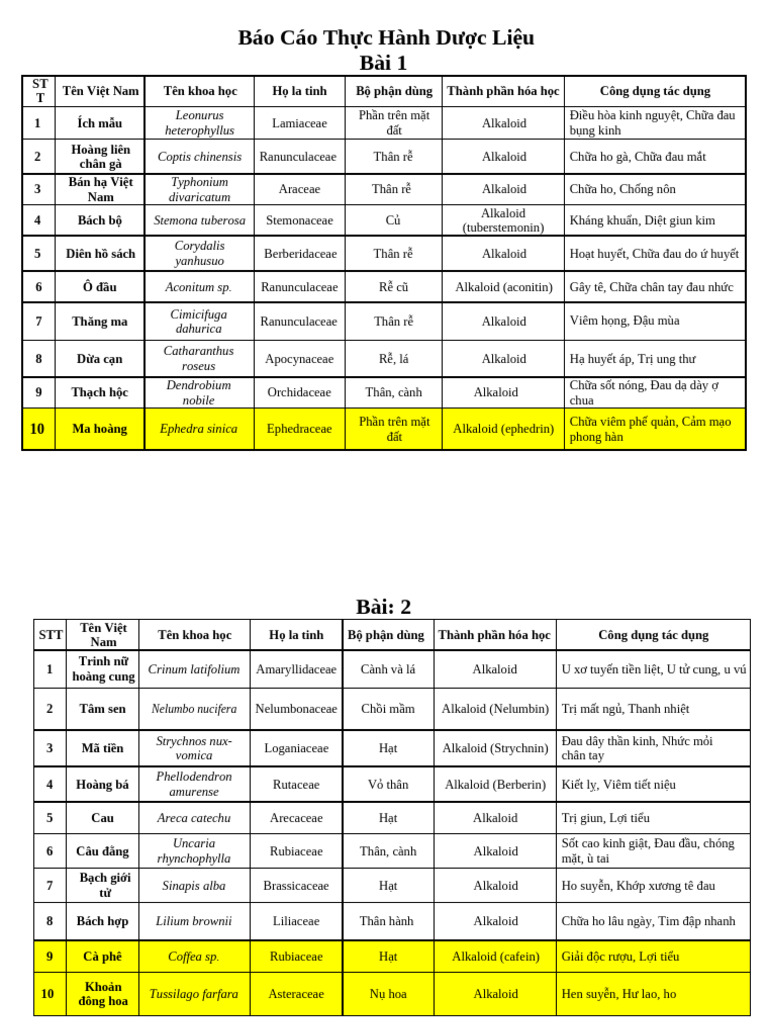 Nhận Thức TH DL2 | PDF
