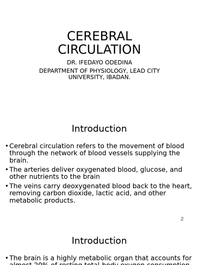 Cerebral Circulation - 032349 2 | PDF | Vein | Artery