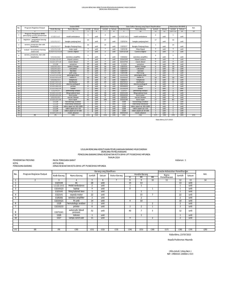 Form Usulan RKBMD 2024 | PDF