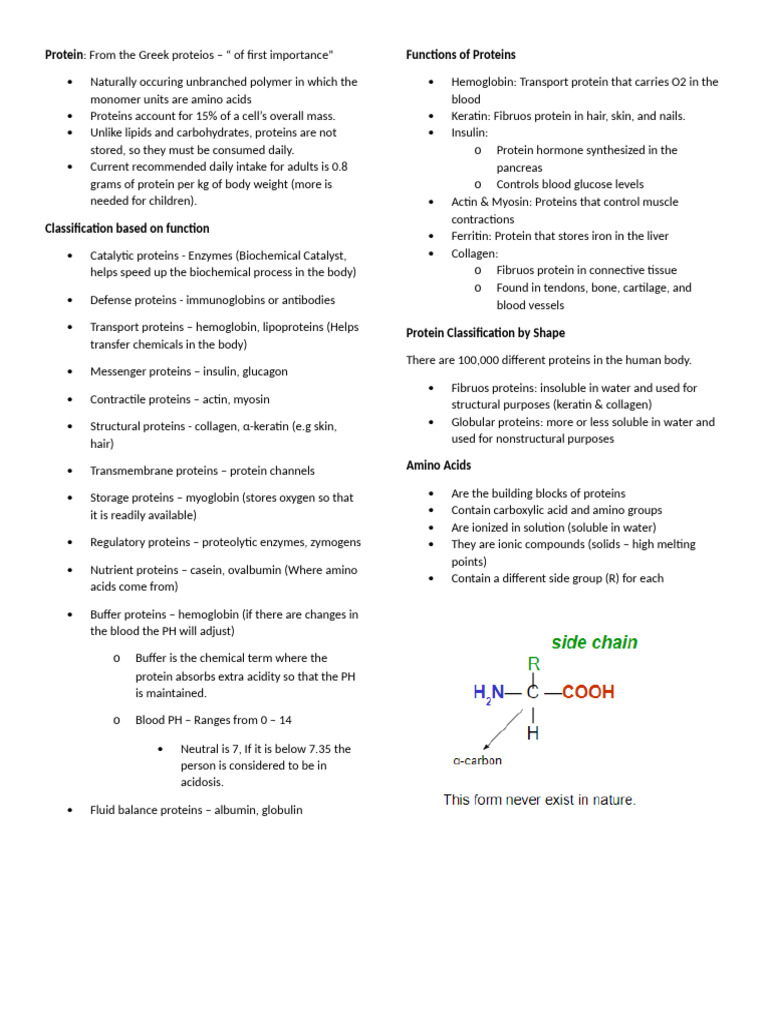 Protein Pdf Proteins Amino Acid