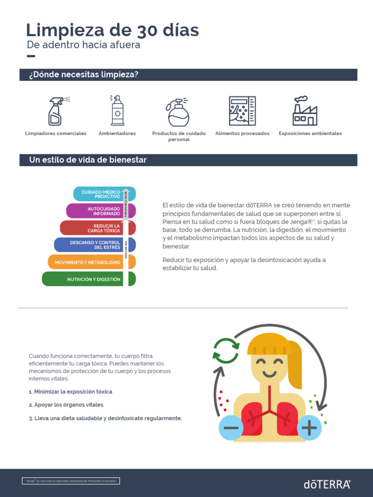 Cleanse and Restore Class Handout US Spanish PDF v2 | PDF | Alimentos ...