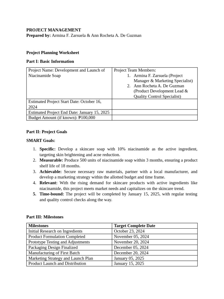 Project Management | PDF | Business | Art