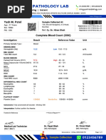 CBC Report Sample for Blood Analysis | PDF | White Blood Cell | Body Fluids