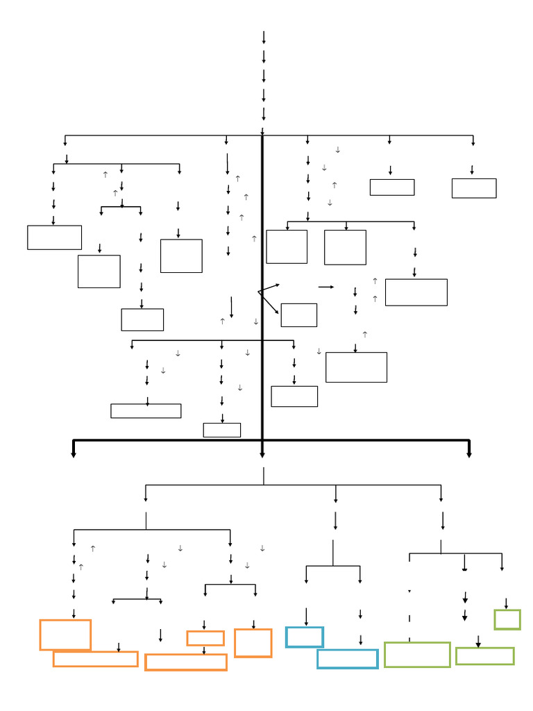 Pathway CKD dan Hemodialisis | PDF