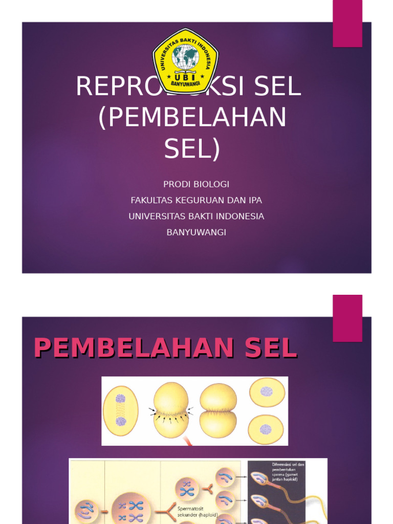 Pembelahan Sel | PDF | Griya & Taman | Kesehatan Holistik