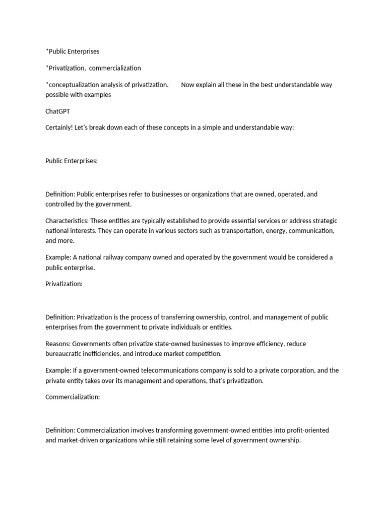 Public Enterpri-WPS Office | PDF | Privatization | State Owned Enterprise