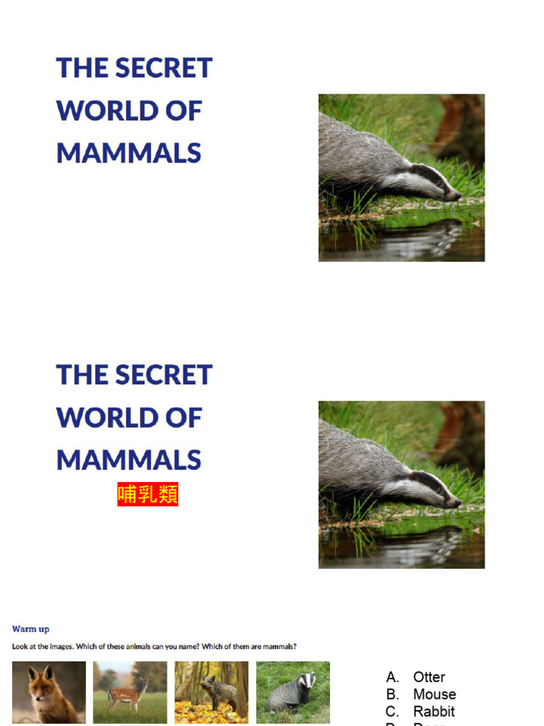 UK Mammals | PDF | Language Arts & Discipline | General Fiction