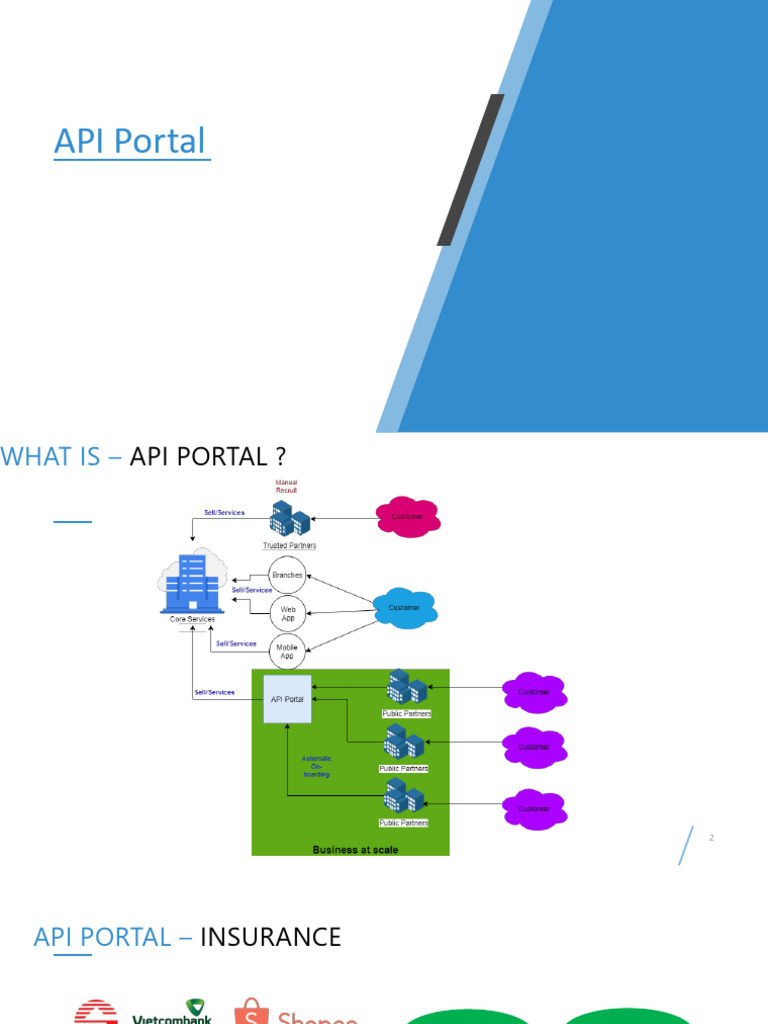 API Portal v1.1 | PDF