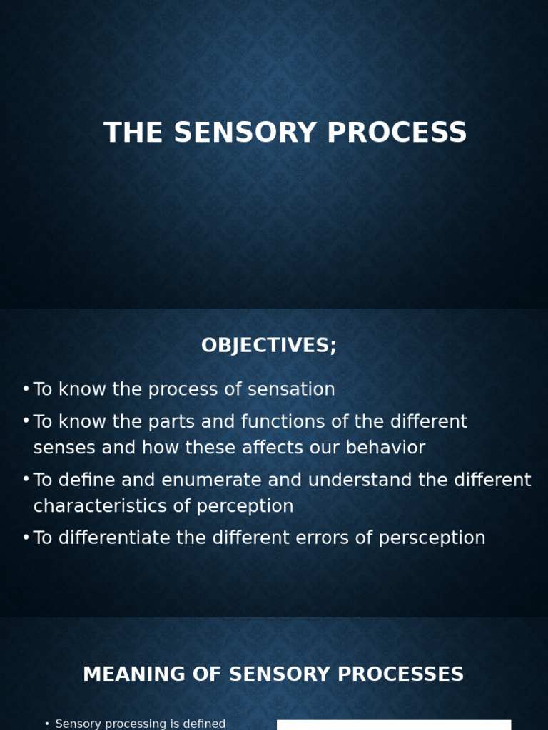 Sensory Process Group 3 Reporting | PDF | Senses | Taste