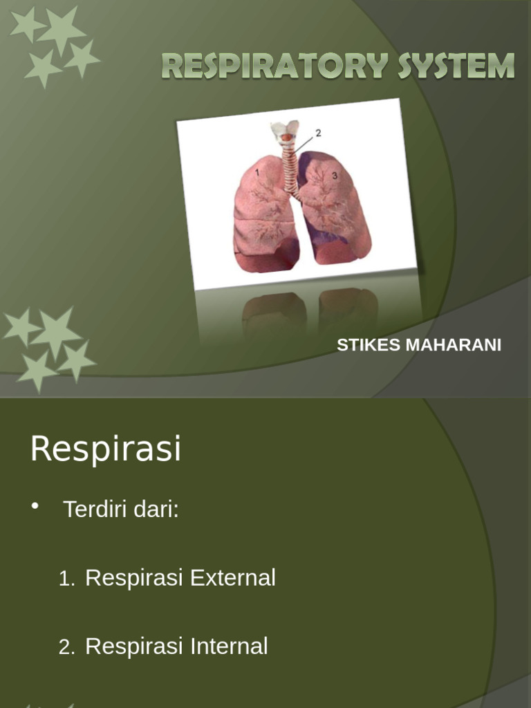 Kuliah Resp System SMSTR 1 | PDF