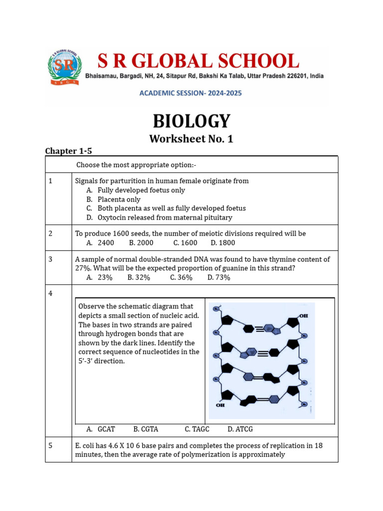 Worksheet Halfyearly Examination | PDF | Base Pair | Operon