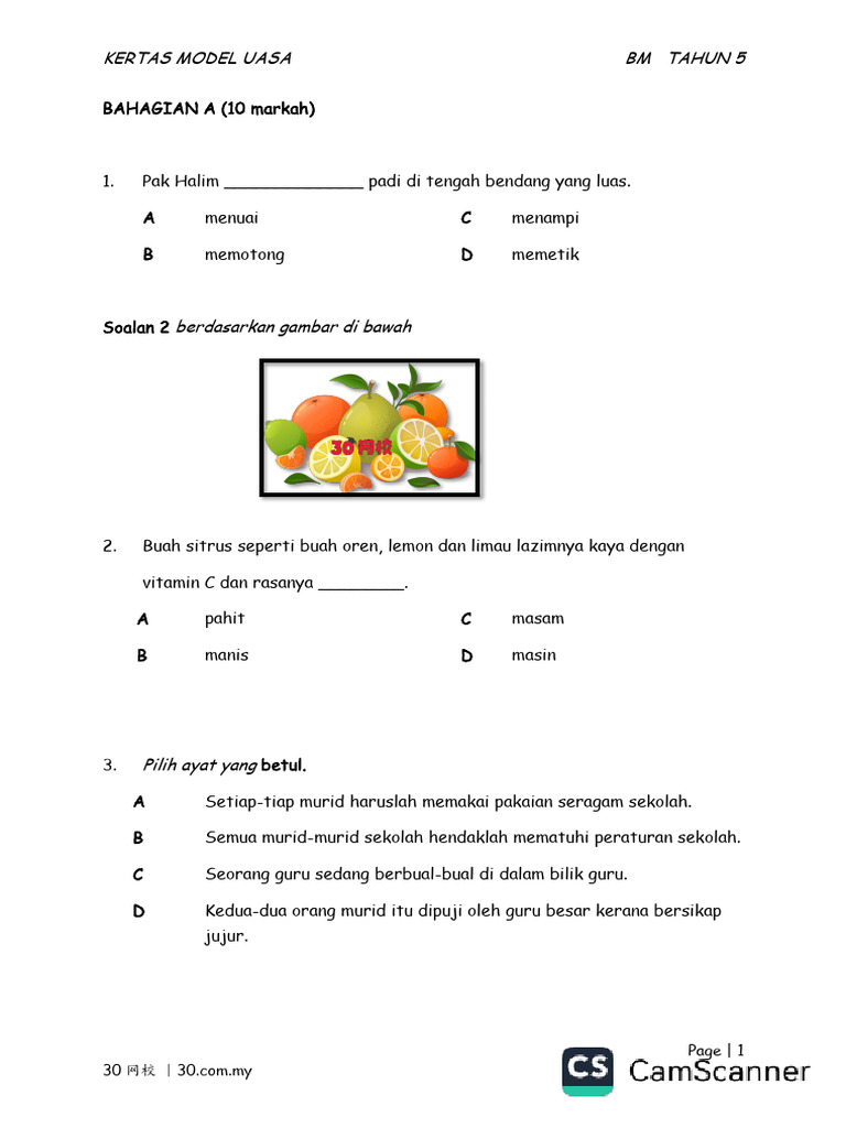 STD 5 BM Y5 Class 2 | PDF