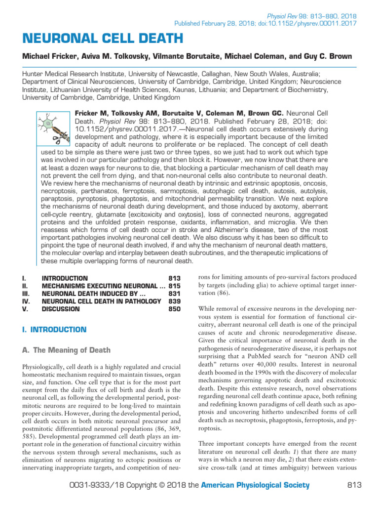 Fricker Et Al 2018 Neuronal Cell Death | PDF | Apoptosis | Caspase 3