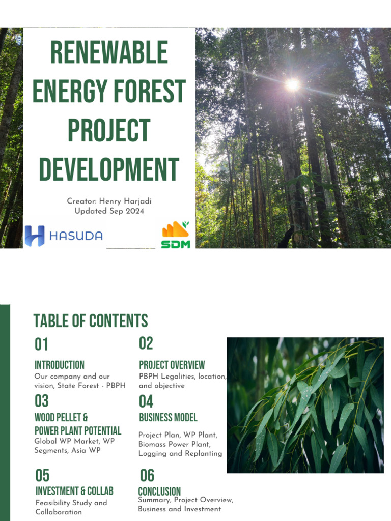 Renewable Energy Forest Project Overview | PDF | Logging | Lumber