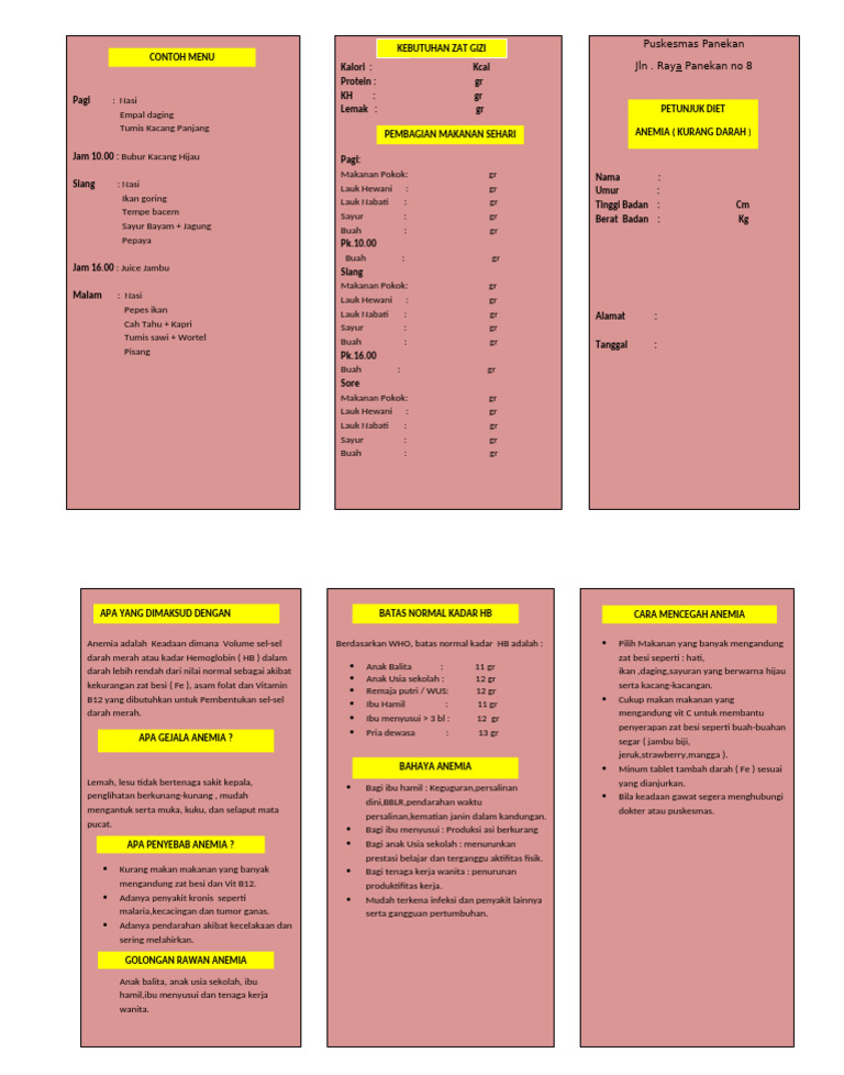 Menu Diet Sehari untuk Anemia | PDF