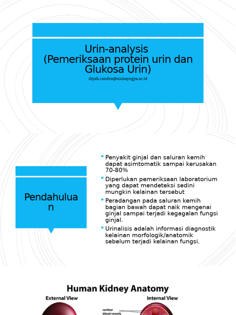Biomedis - Urine Analysis | PDF