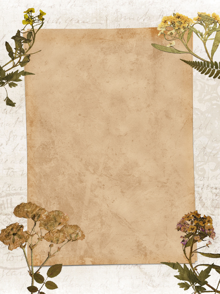 White Vintage Collage Page Border | PDF