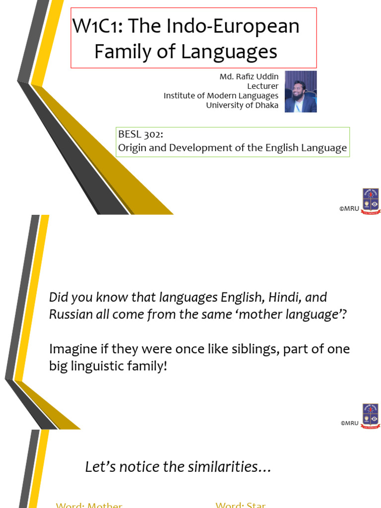 Language Evolution: Indo-European Roots | PDF | Vedas | Celts