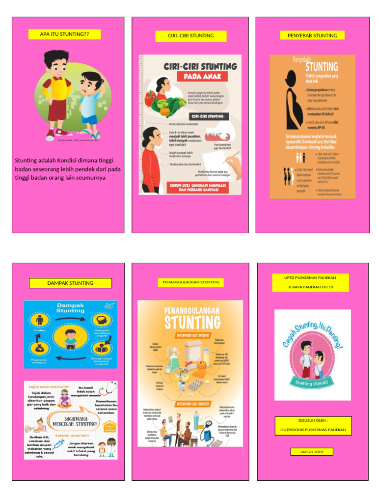 Leaflet Stunting New | PDF | Kesehatan Holistik