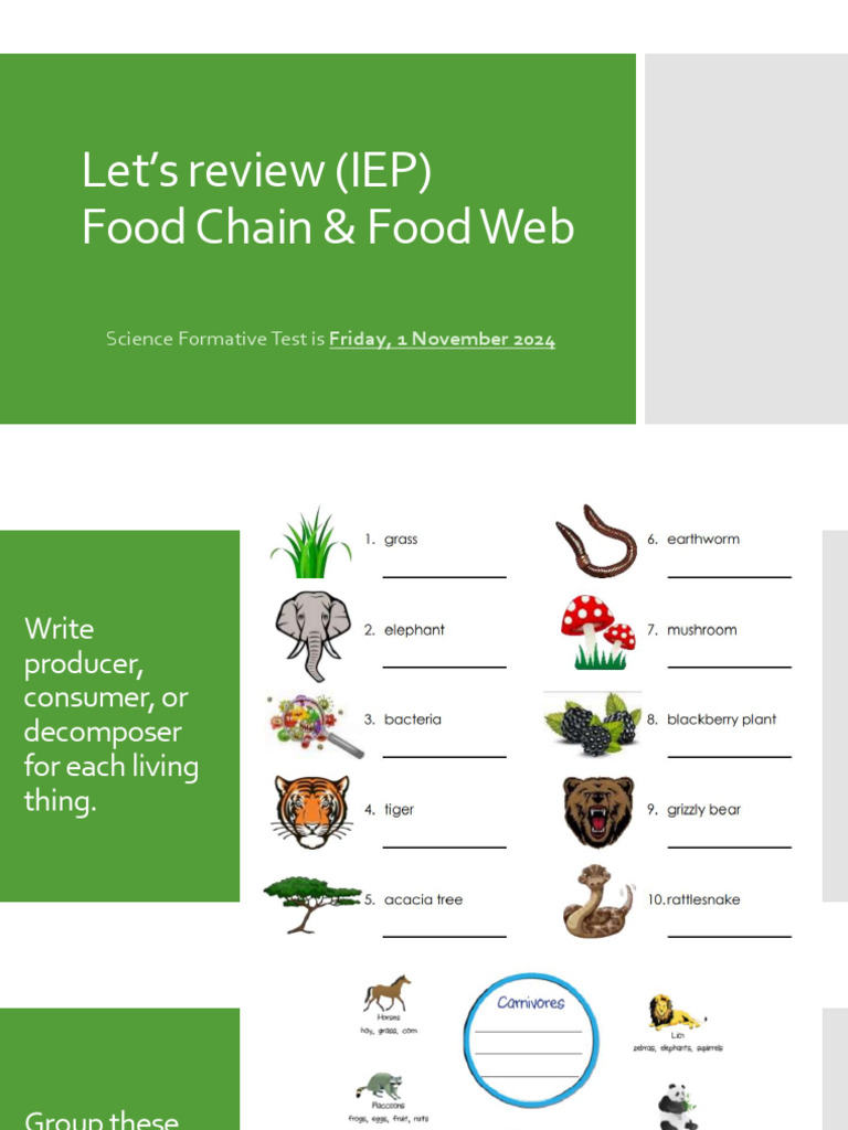 Food Chain Food Web Review (IEP) | PDF
