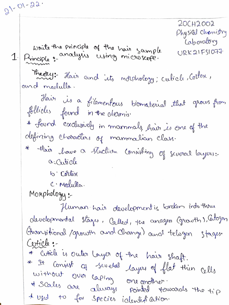 Hair Samples Analysis | PDF | Wellness | Science & Mathematics