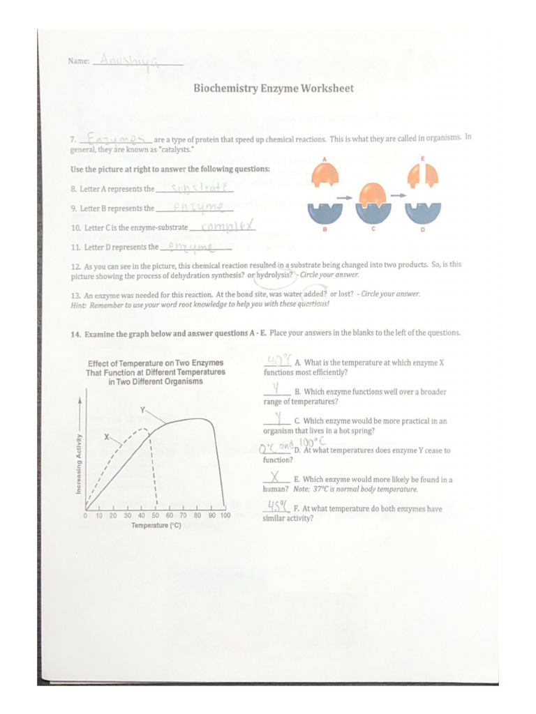 Biology Assignment | PDF