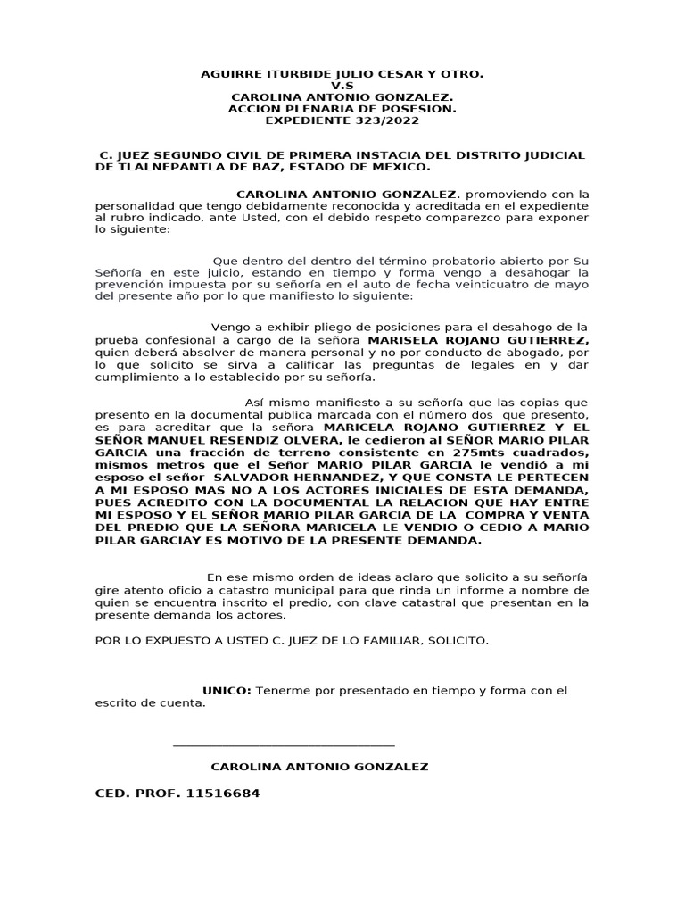 Carolina Pliego | PDF