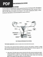 Cattle Reproductive System Overview | PDF | Luteinizing Hormone ...