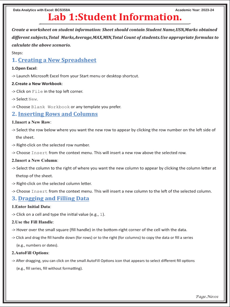 Lab 1:student Information.: 1. Creating A New Spreadsheet | PDF | Microsoft Excel | Computing