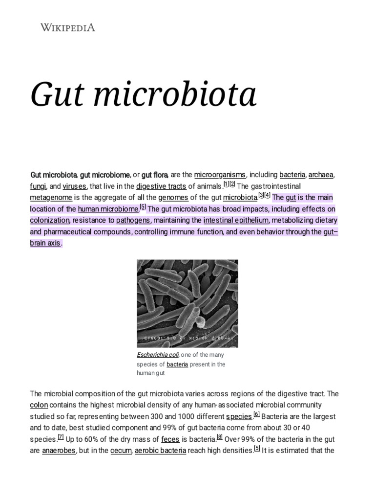 Gut Microbiota - Wikipedia | PDF | Probiotic | Inflammatory Bowel Disease