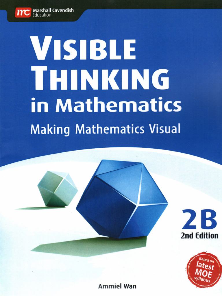 Visible Thinking in Mathematics-2B | PDF