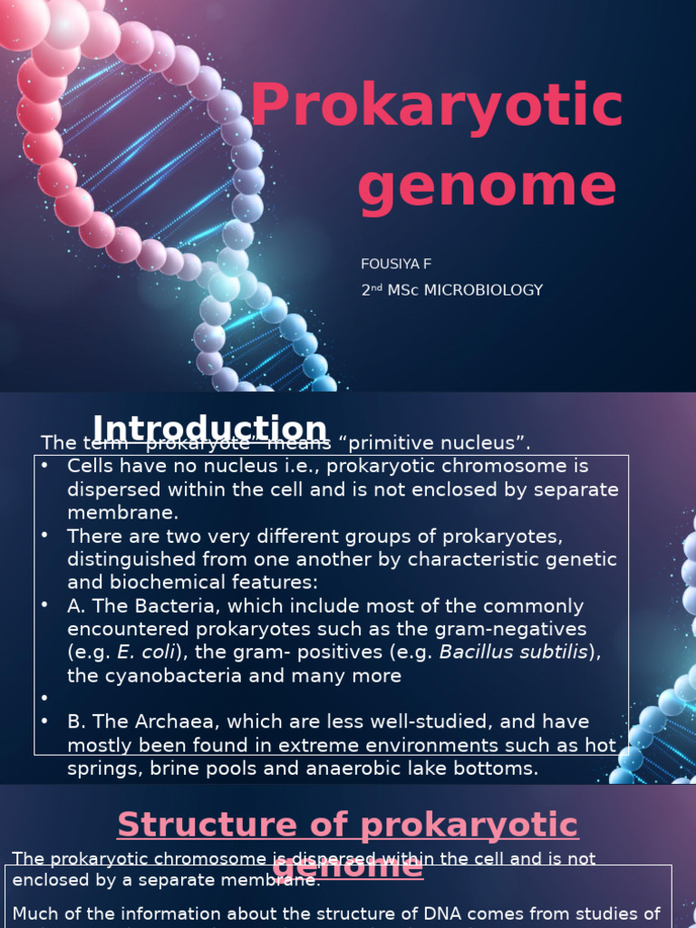 Introduction To Prokaryotic Genome | PDF | Operon | Plasmid