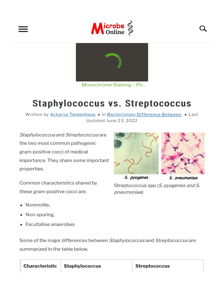Staphylococcus vs. Streptococcus - Microbe Online | PDF | Streptococcus | Staphylococcus