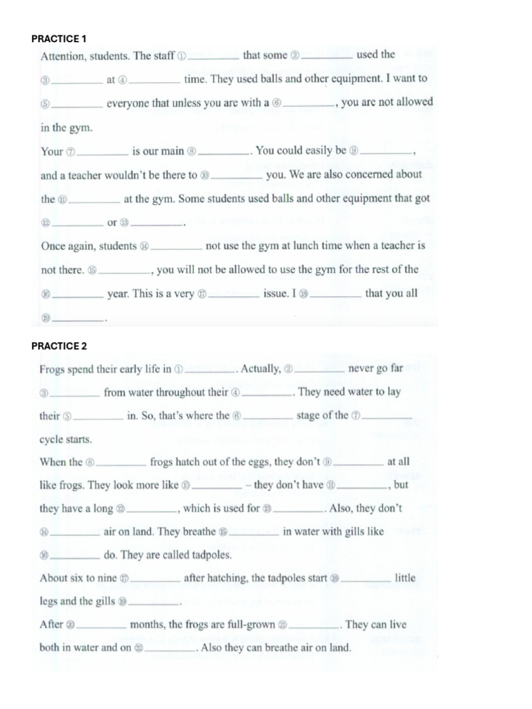 Handout (Print) | PDF