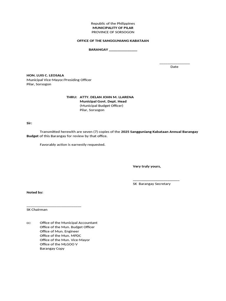 SK Barangay Budget Submission | PDF