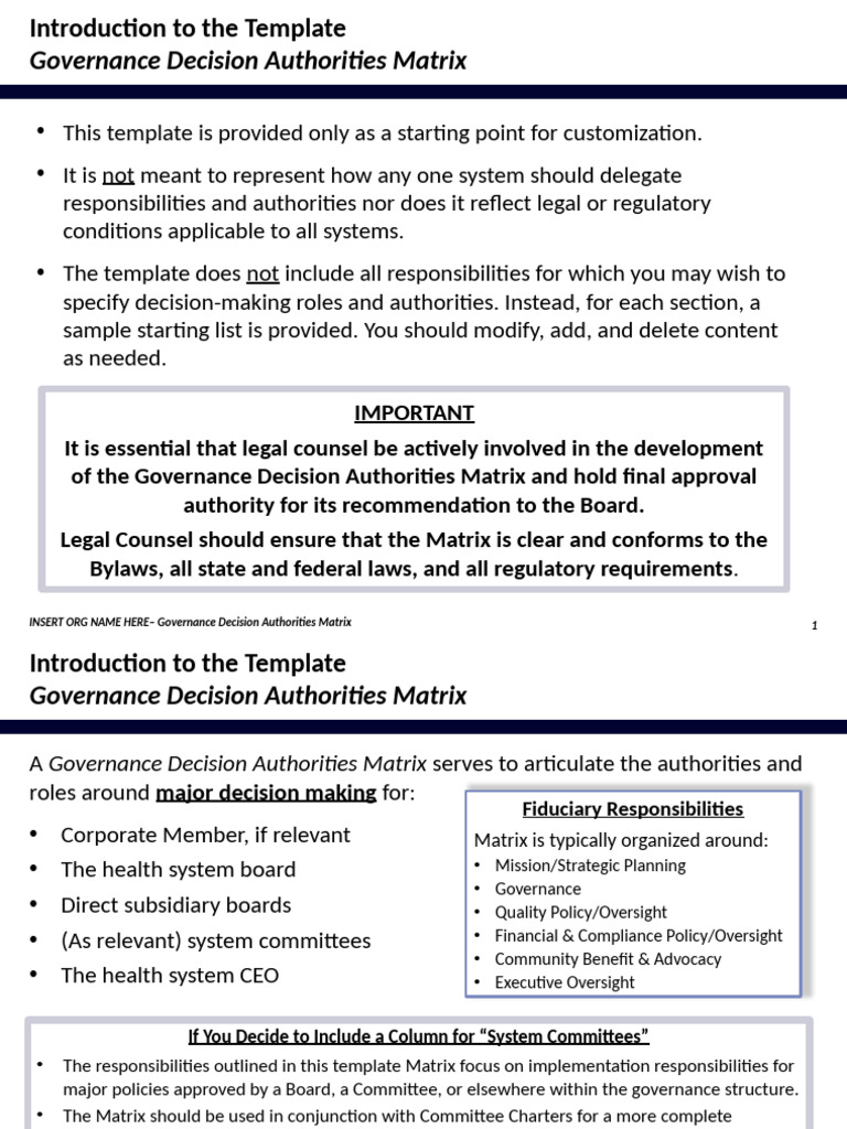TGI TEMPLATE Gov Decision Authorities Matrix | PDF | Governance ...