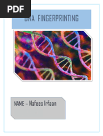 Dna Fingerprinting Investigatory Project 2024-25 Class-12 | PDF | Gel ...