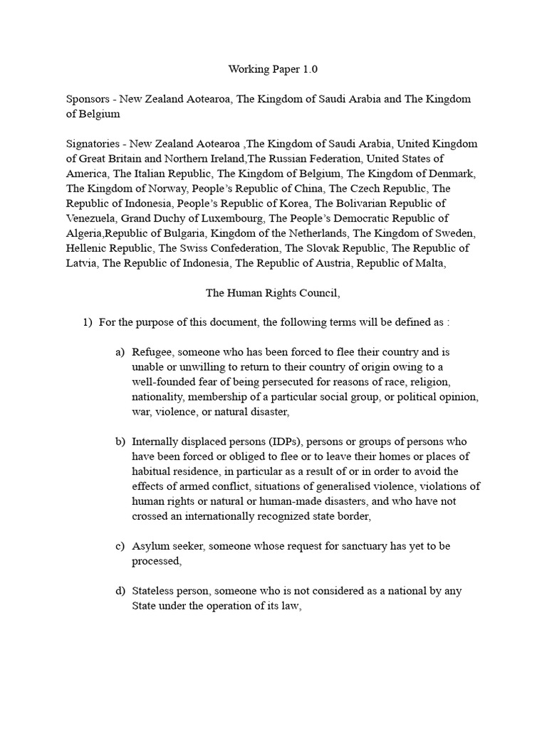 Amun Working Paper | PDF | Refugee | Right Of Asylum