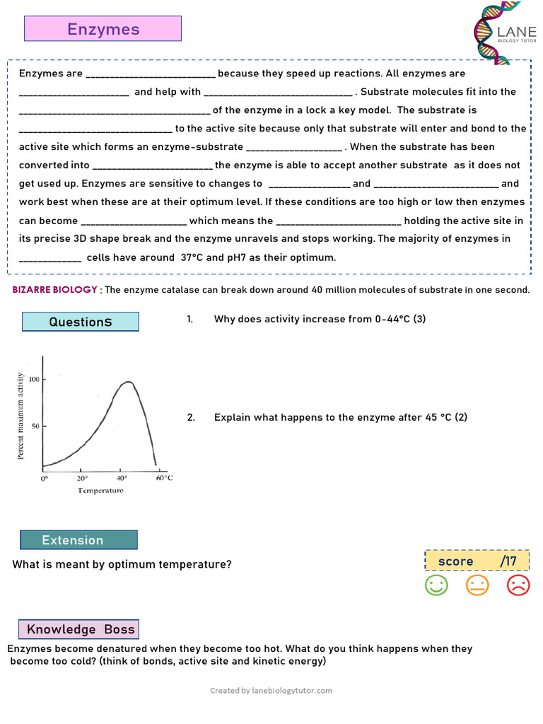 Enzymes: Extension | PDF | Enzyme | Active Site