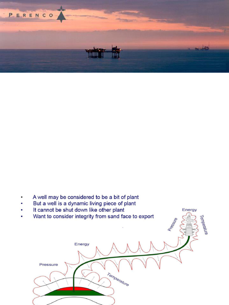 Well Integrity Management Overview | PDF | Casing (Borehole) | Corrosion