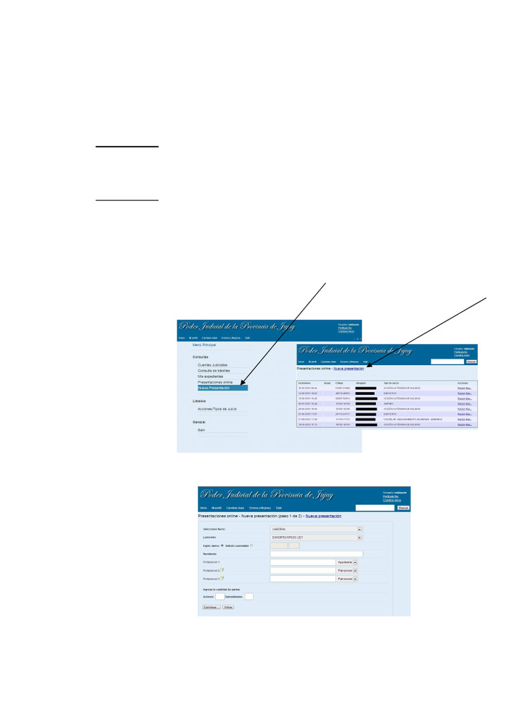Instructivo Formulario Interactivo | PDF