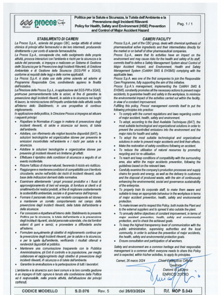 Mod S D 076-rev5-Politica-HSE | PDF