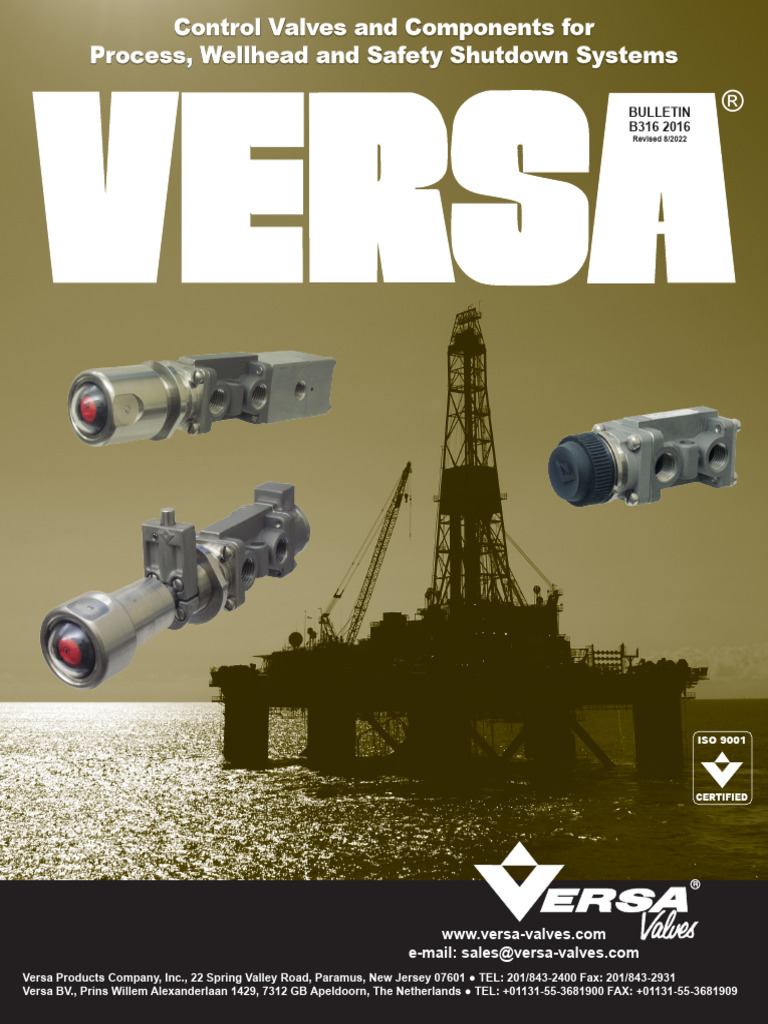 Versa B316 Series Stainless Steel Valves | PDF | Valve | Gas Technologies