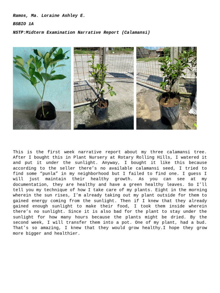 Ramos MLA BSBIO1A Narrative Report | PDF
