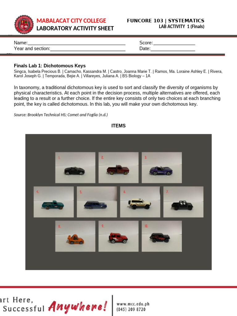Dichotomous Key Lab Activity Guide | PDF | Rear Wheel Drive Vehicles ...